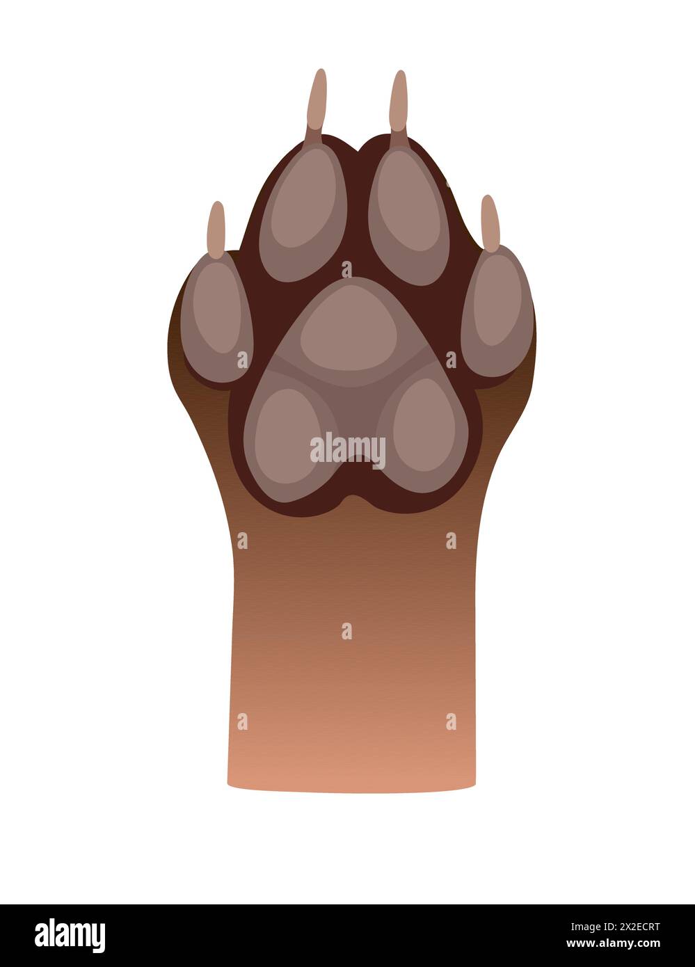 Dog paw cartoon simple animal part design vector illustration isolated ...