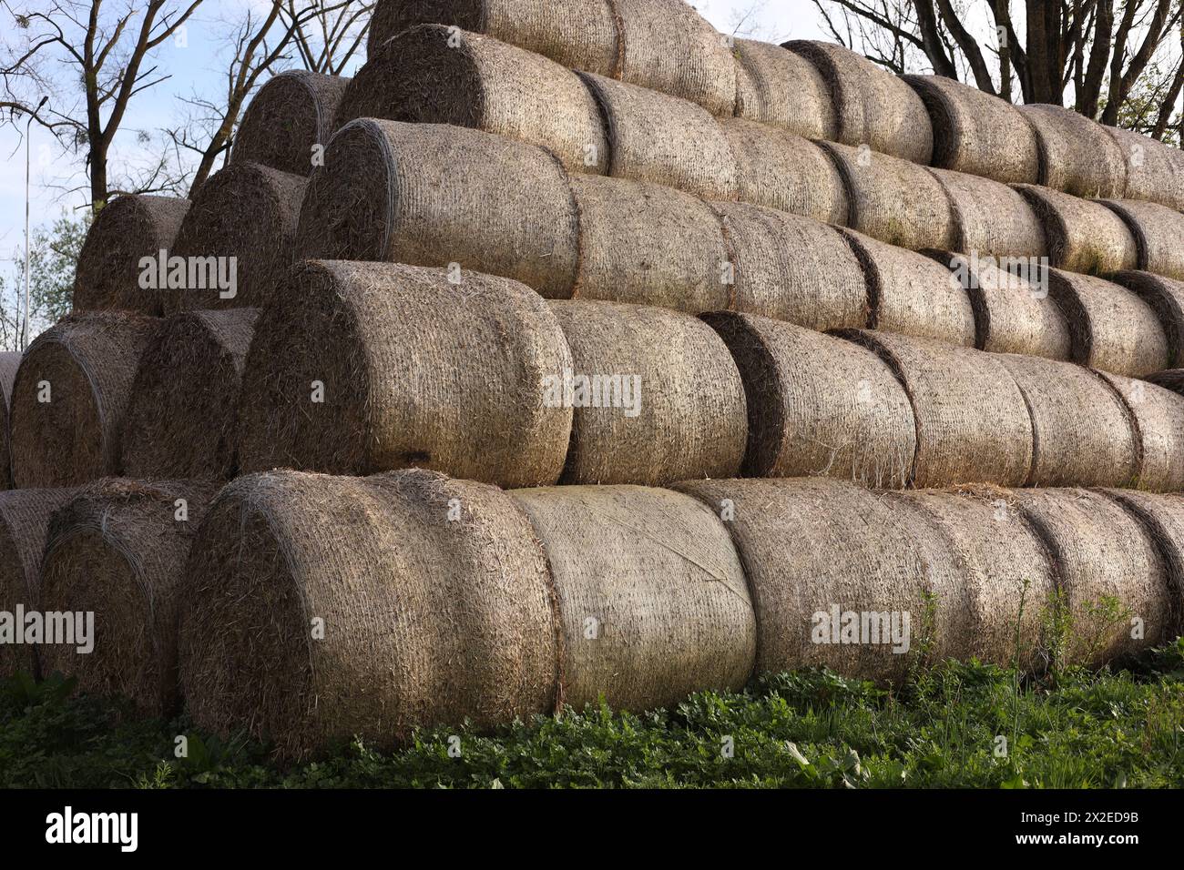Many hay bales background hi-res stock photography and images - Alamy