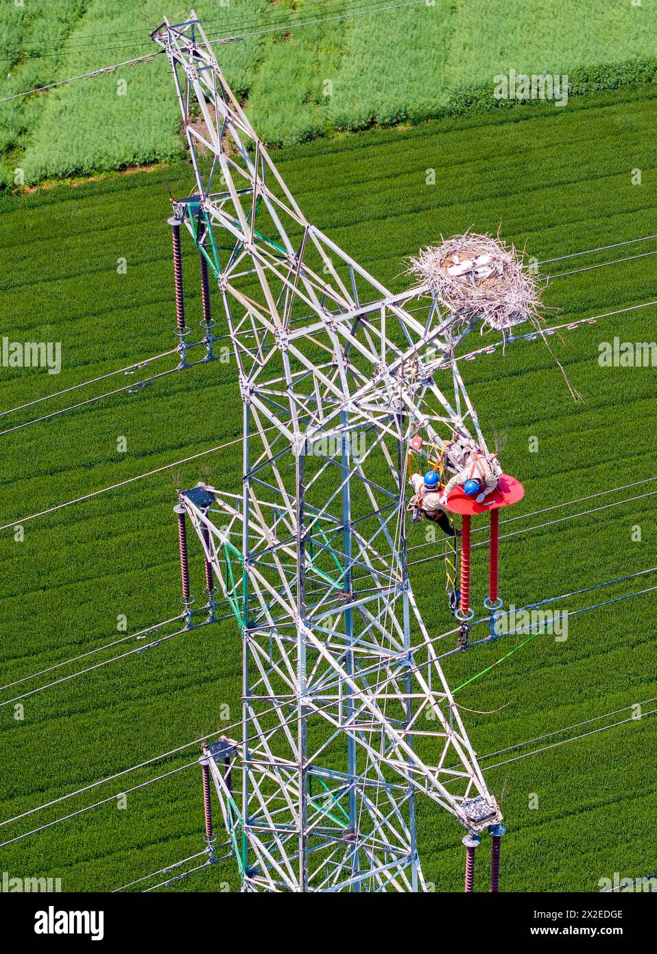 Stork tower china hi-res stock photography and images - Alamy