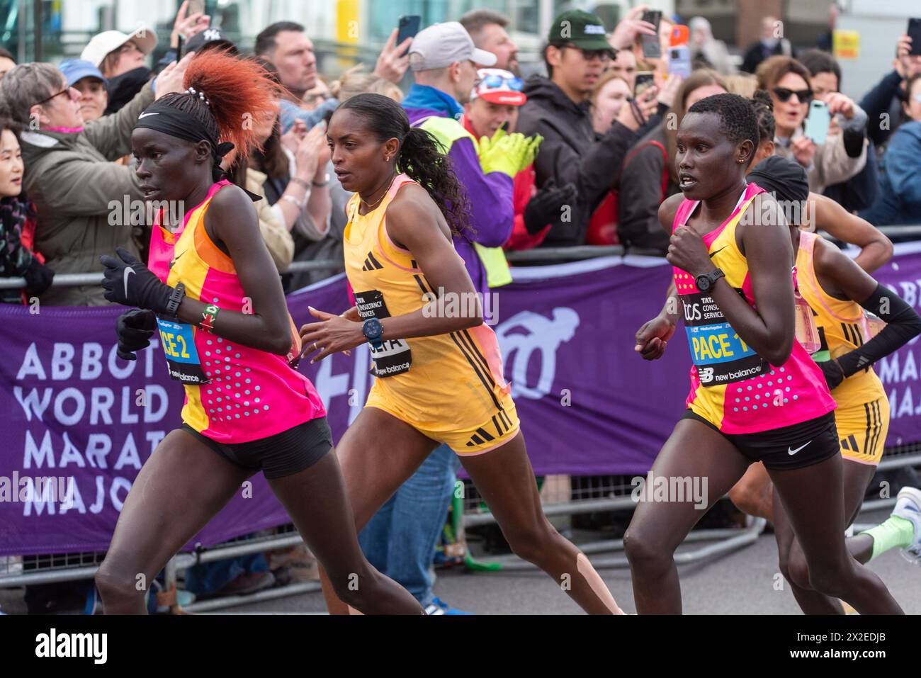 Tessema hi-res stock photography and images - Alamy