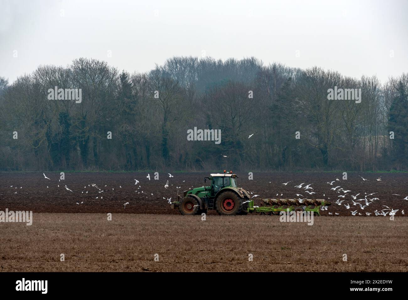 Fendt tractor with plough Hollesely Suffolk UK Stock Photo - Alamy