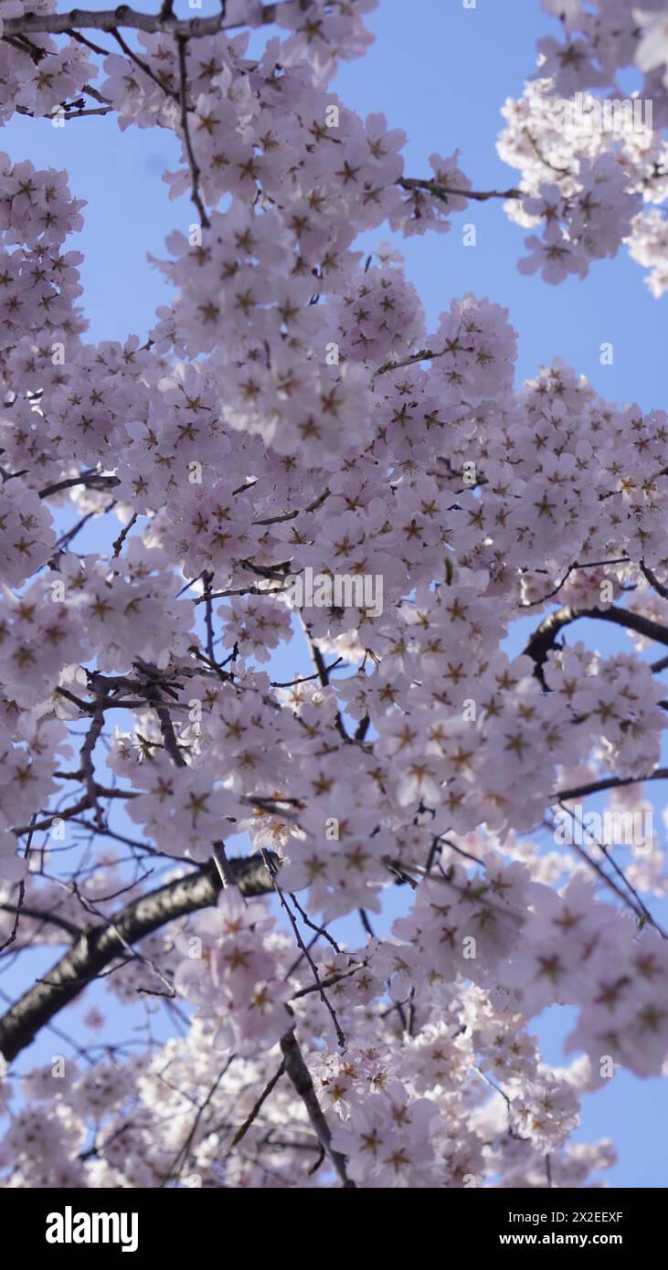 Wallpaper photographs hi-res stock photography and images - Alamy