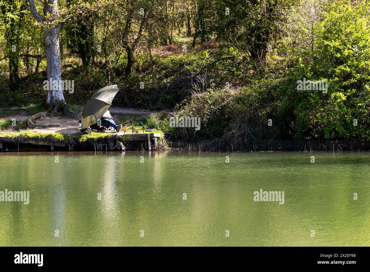 Fisherman, Cannop Ponds Spring, Forest of Dean, Gloucestershire Stock ...
