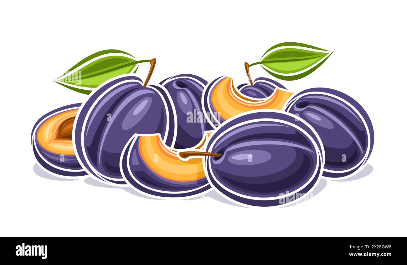 Vector logo for Plum, decorative horizontal poster with outline ...