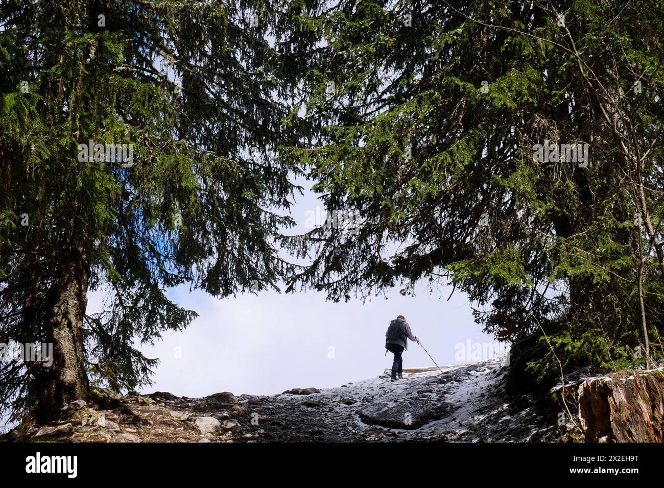 Mountain hiking, Aravis chain, La Clusaz, Haute-Savoie, AURA Region ...