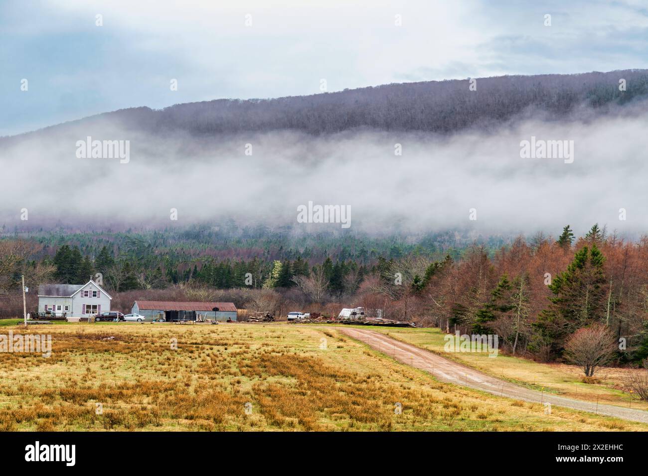 Low valley Fog over farmhouse - New Brunswick Stock Photo - Alamy