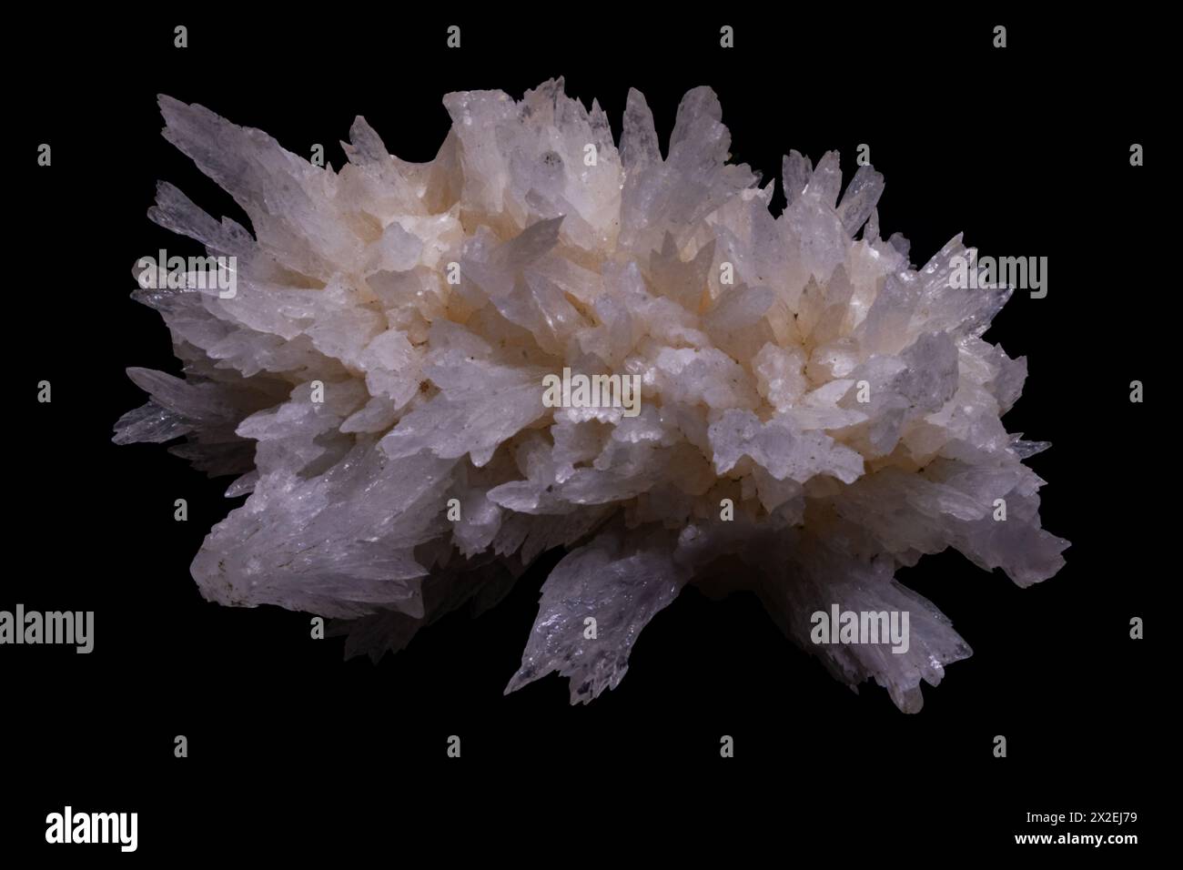 Aragonite mineral specimen with exquisite crystals Stock Photo - Alamy