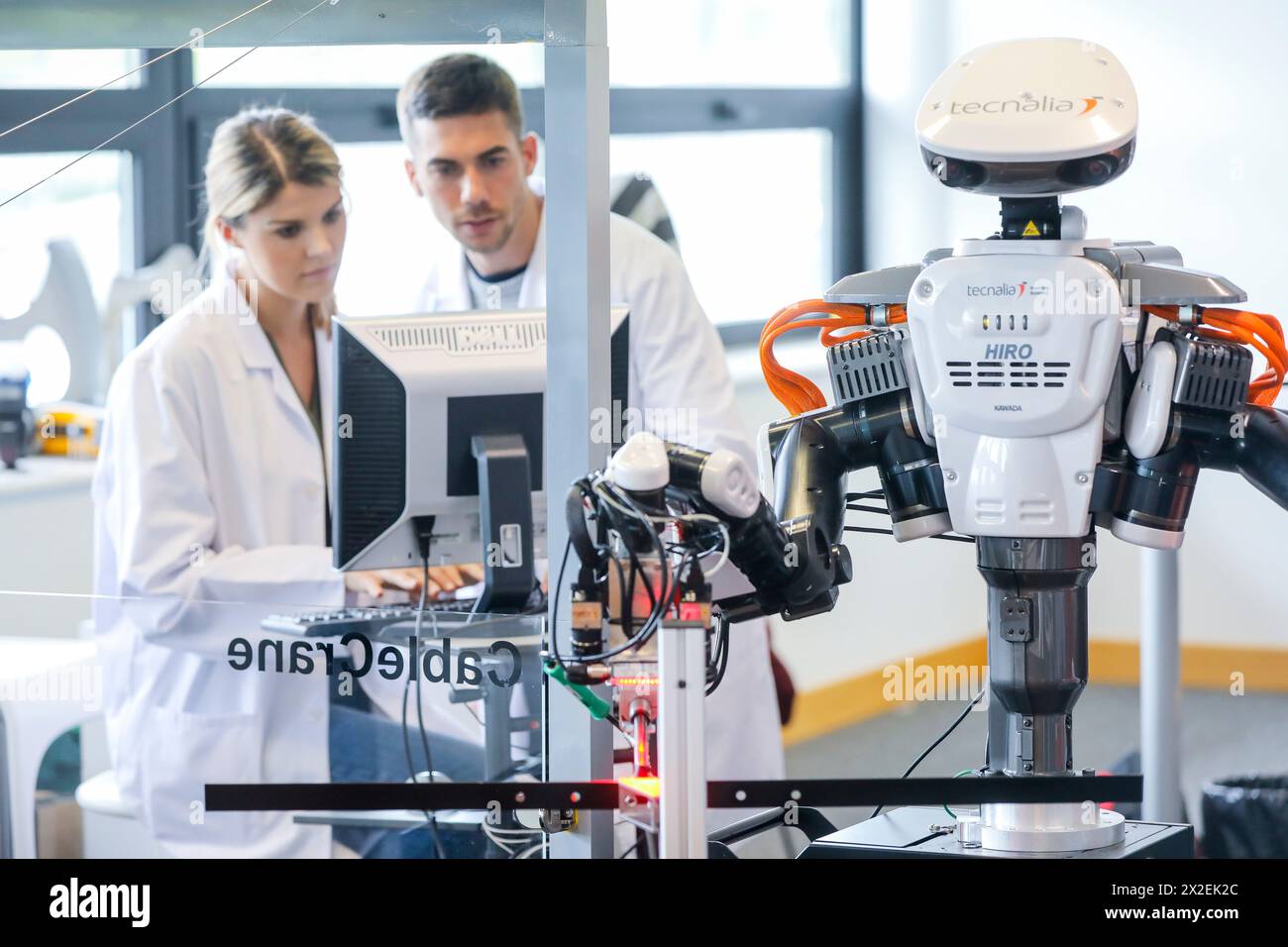 Robot with two arms for flexible robotics. Humanoid robot for ...