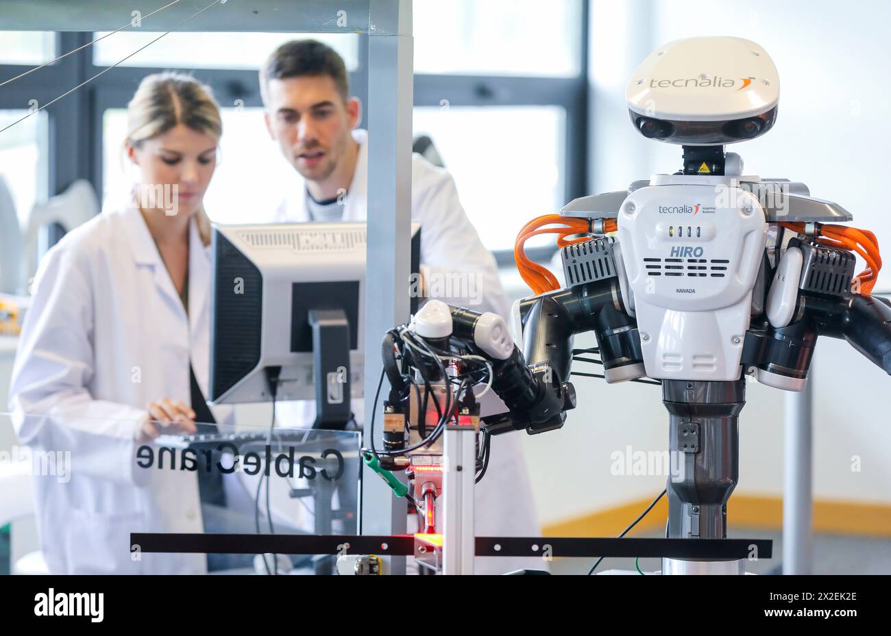 Robot with two arms for flexible robotics. Humanoid robot for ...