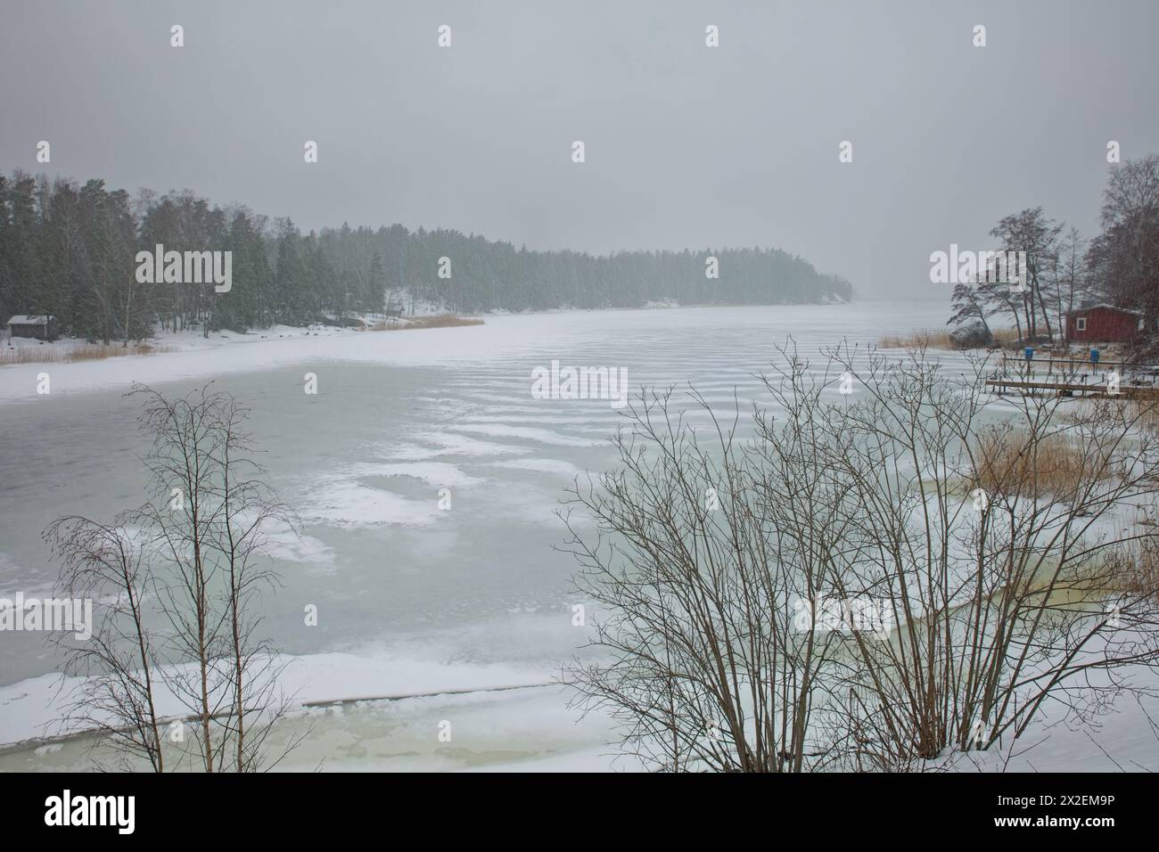 Winter landscape view of sea strait, cabins on seashore, reeds, trees ...
