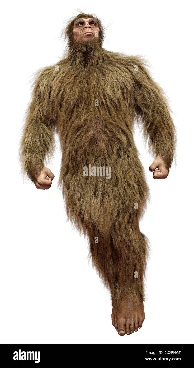 3D rendering of a Sasquatch or Bigfoot isolated on white background ...