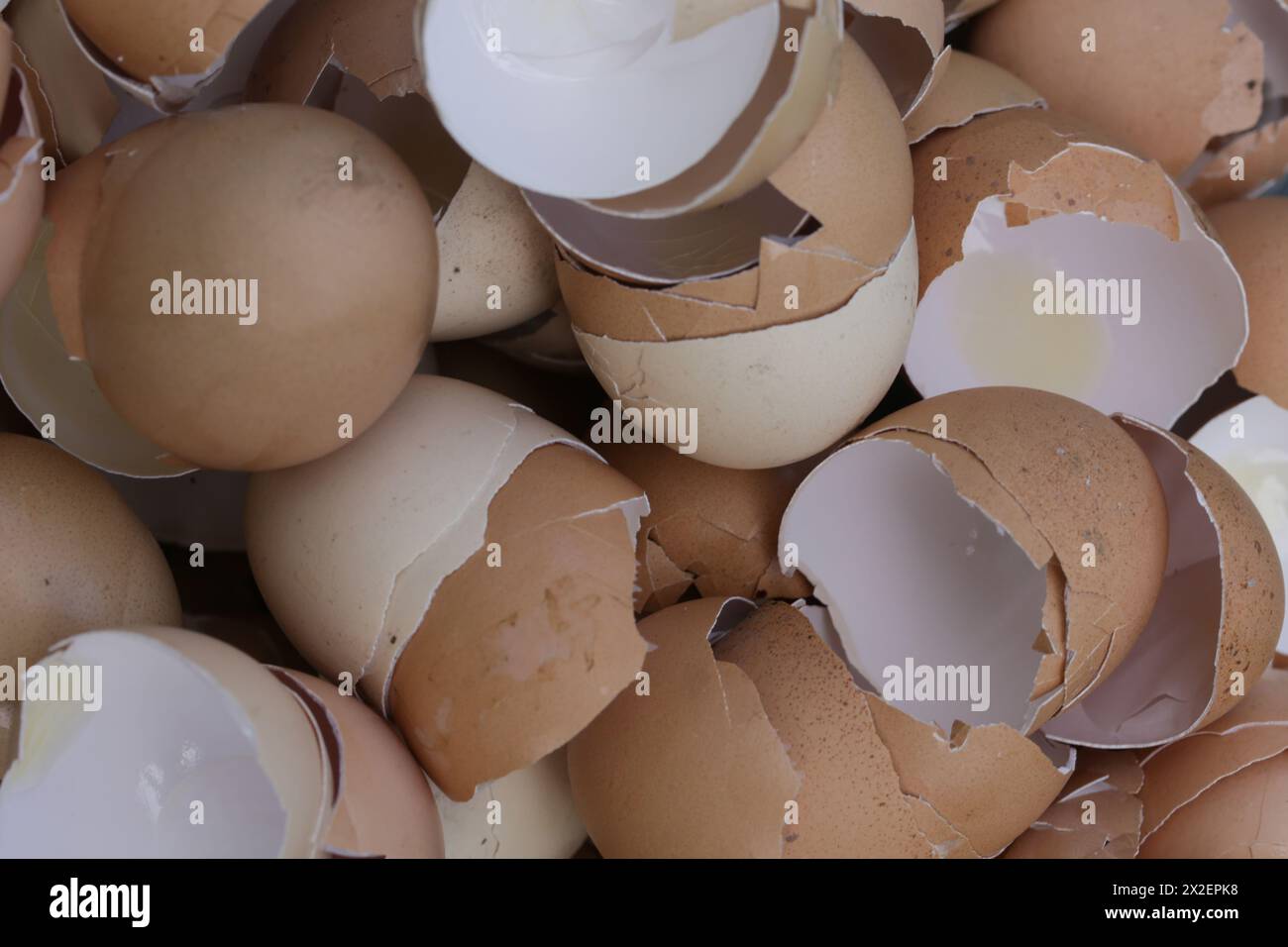 Stack of broken and dry eggshells Stock Photo - Alamy