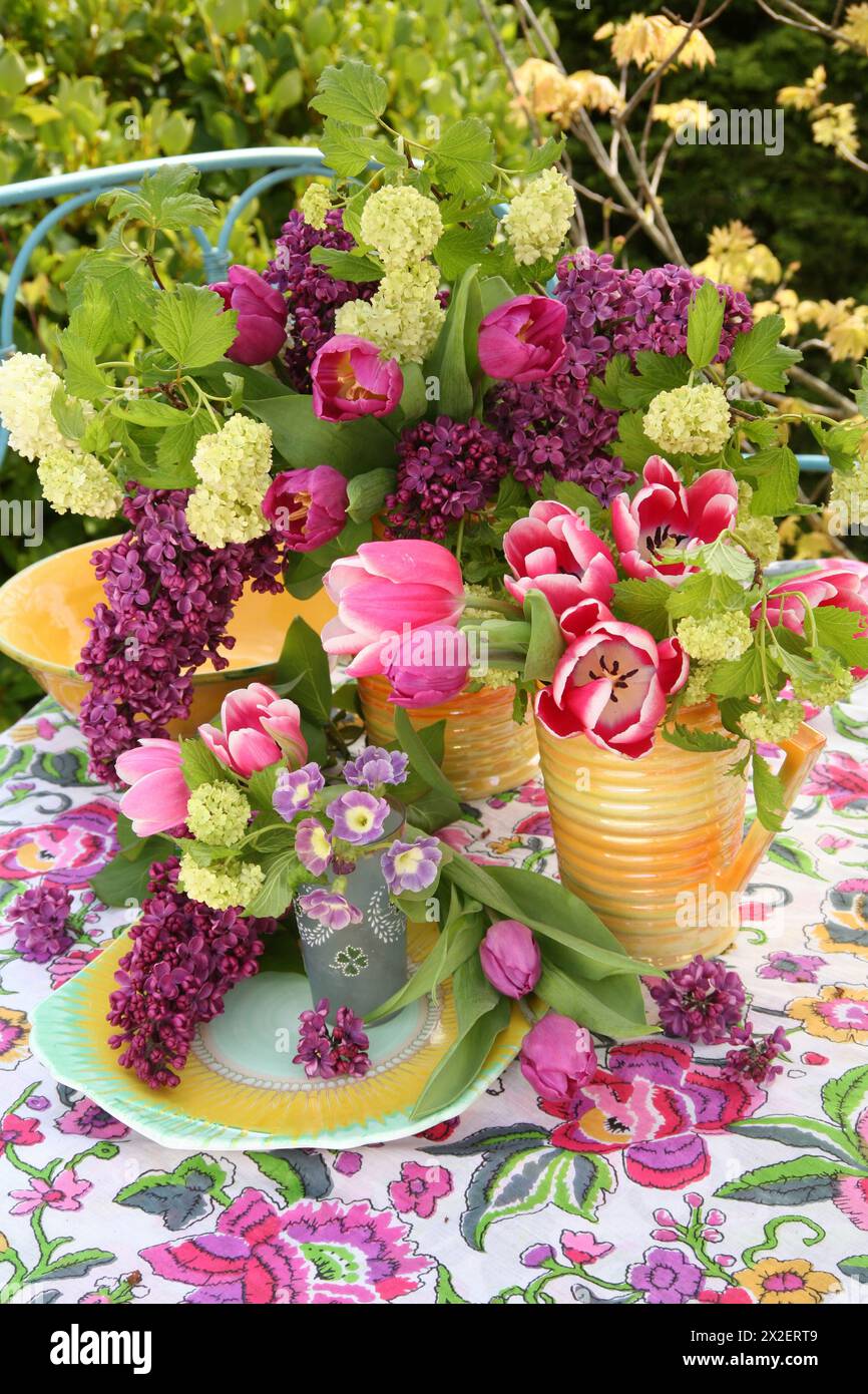 botany, still life of pink tulips, primula auricula, ADDITIONAL-RIGHTS ...
