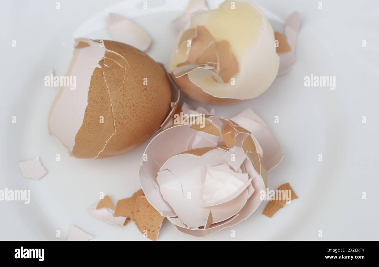 Crushed egg shell on the plate, cn be used as a calcium and mineral ...