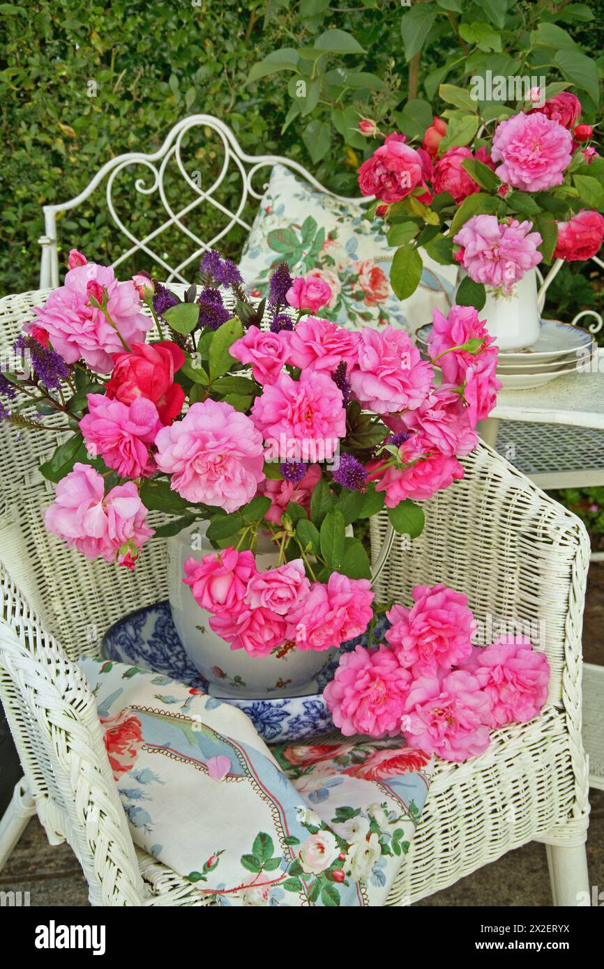 botany, still life of pink and red roses in a china jug on a wicker ...