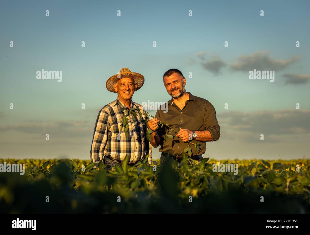 Portrait of two farmers in a soy field at sunset Stock Photo - Alamy