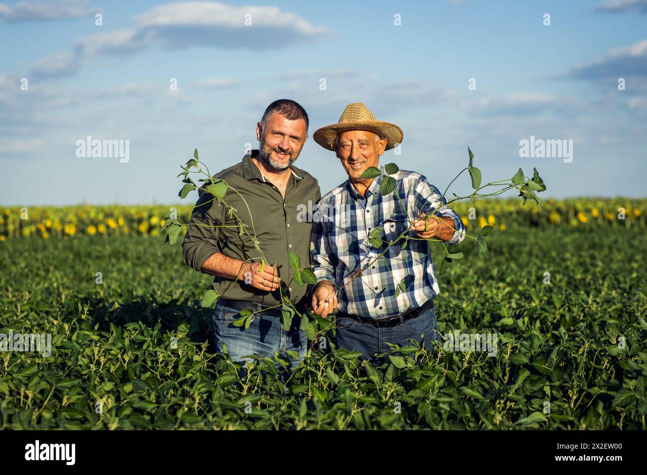 Portrait of two farmers in a field examining soy crop Stock Photo - Alamy