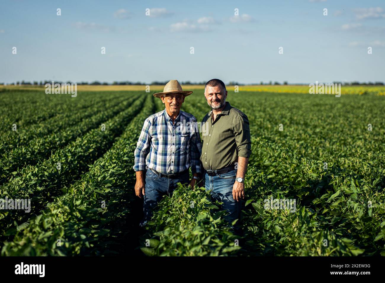 Portrait of two farmers in a field examining soy crop Stock Photo - Alamy