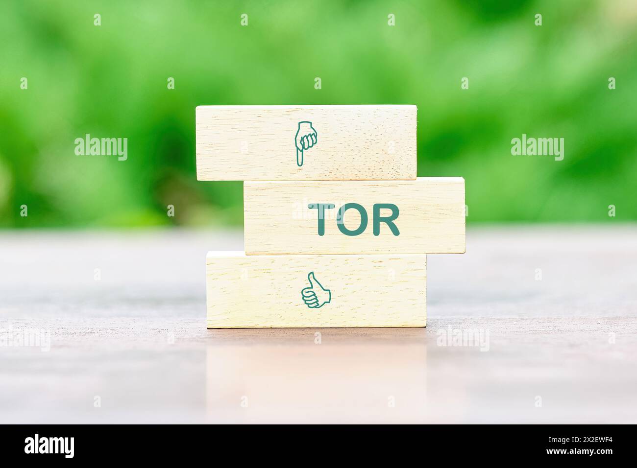 TOR Terms Of Reference on wooden blocks in front of a green background ...