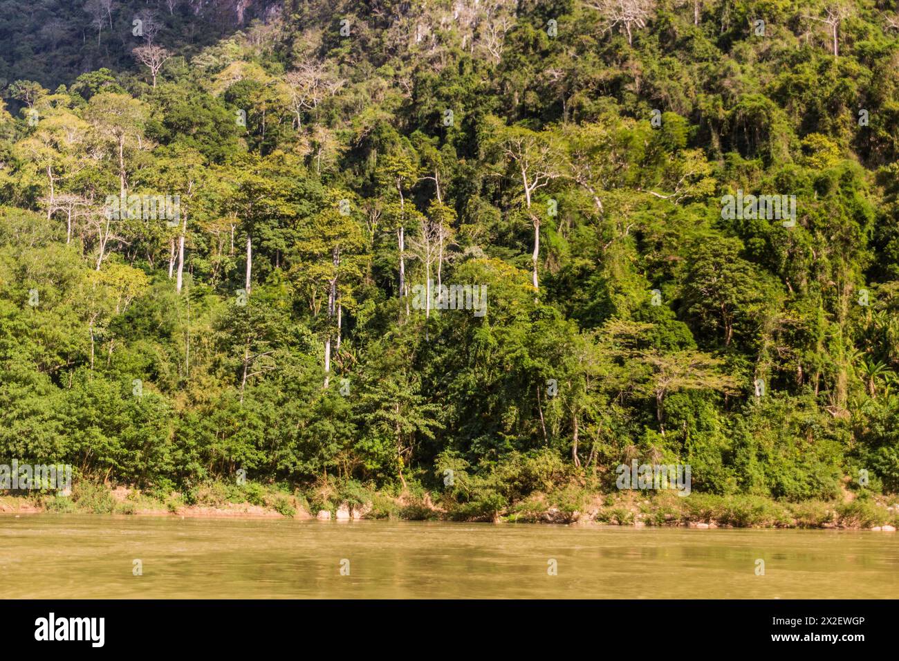 Forested coast of Nam Ou river near Muang Ngoi Neua village, Laos Stock ...