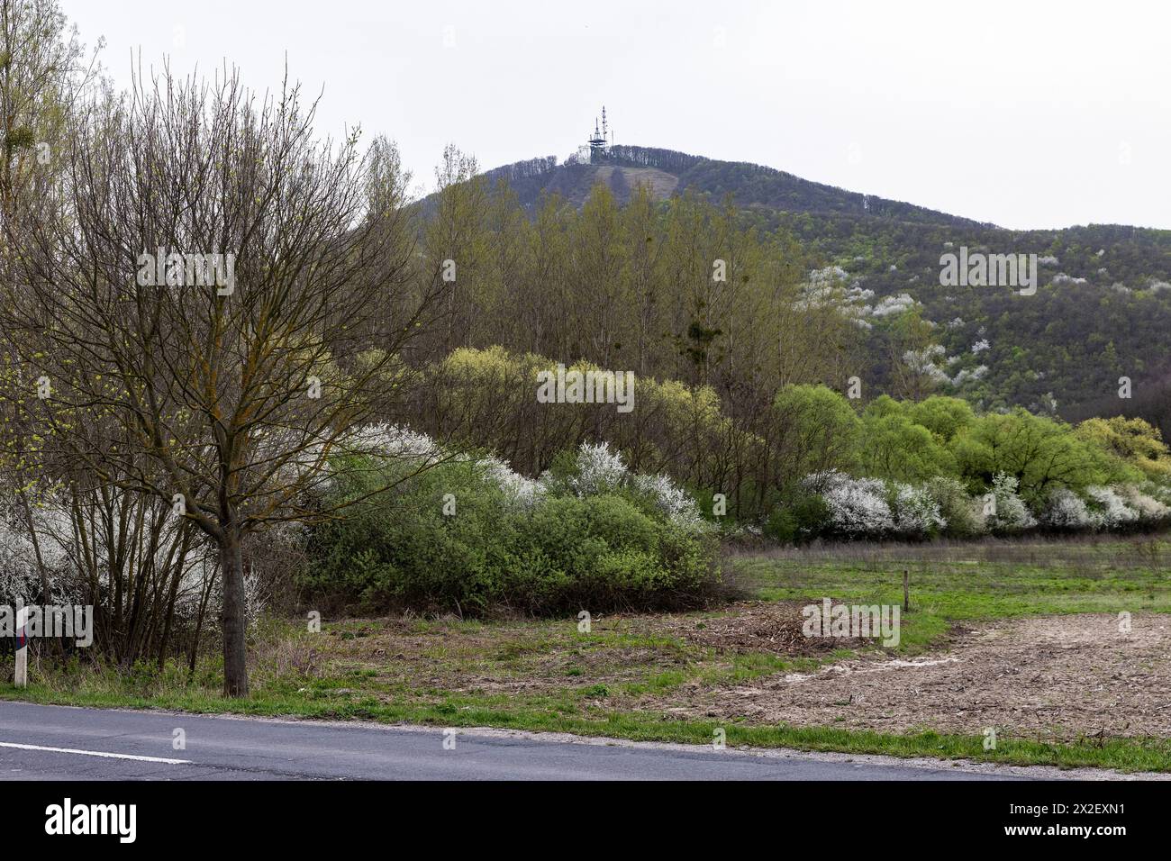 Zemplén mountains hi-res stock photography and images - Alamy