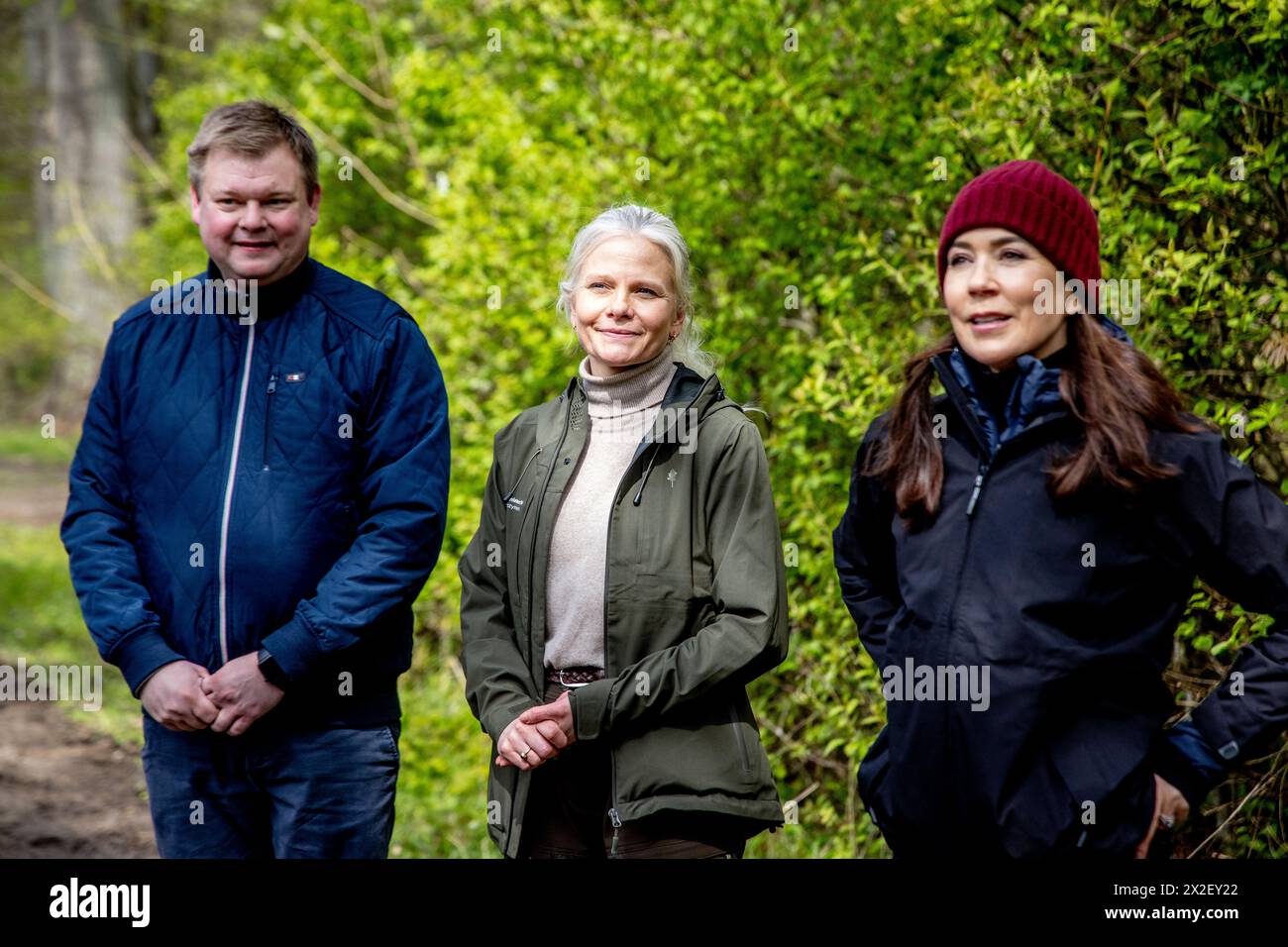 Hannenov Forest, Nykoebing Falster., Denmark. 22nd Apr, 2024. Forest ...