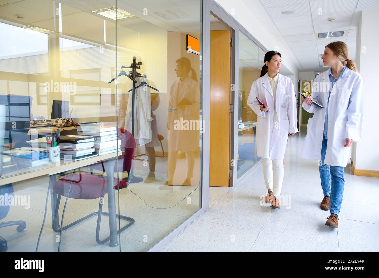 Two professional coworkers walk hi-res stock photography and images - Alamy