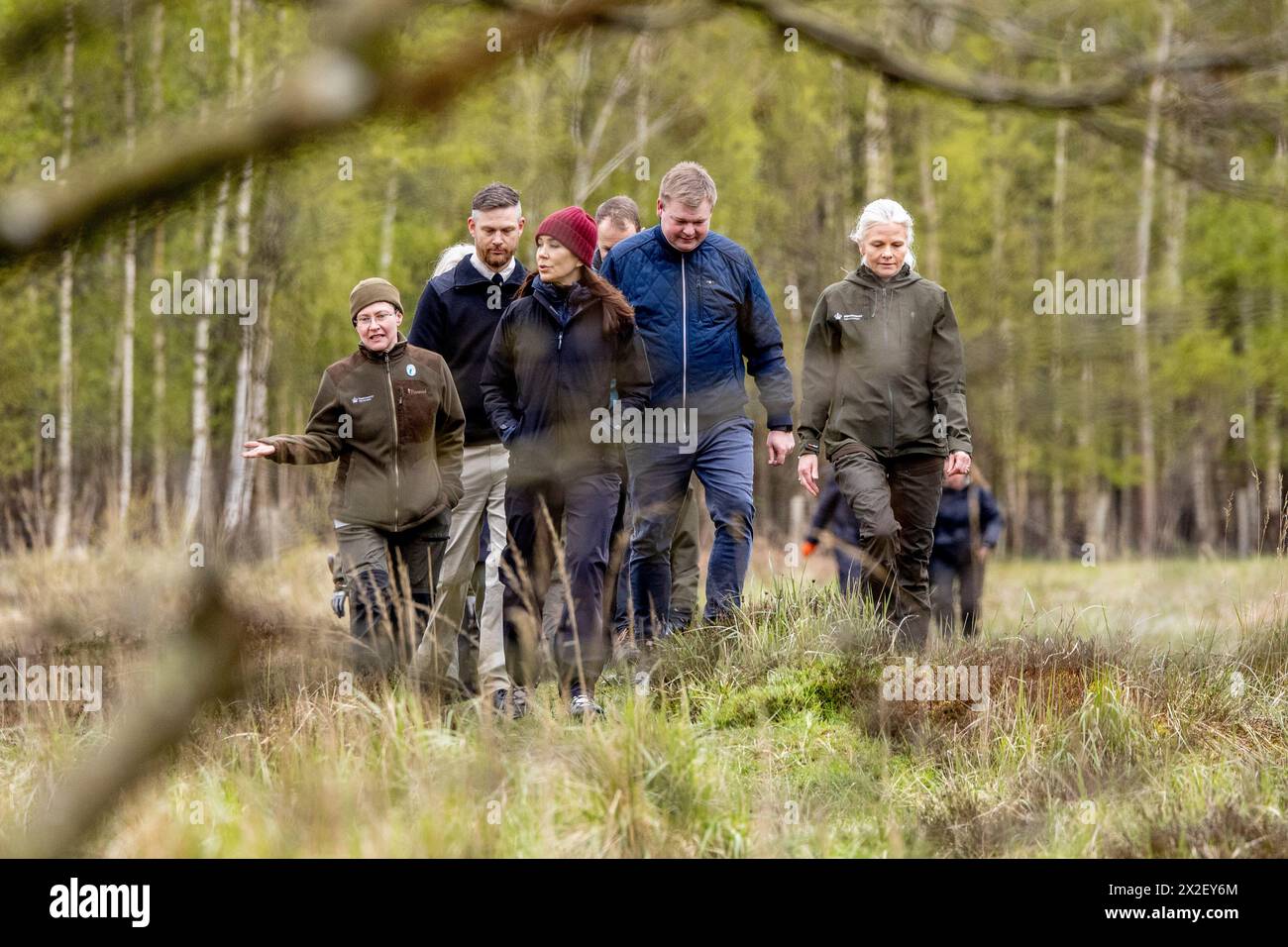 Hannenov Forest, Nykoebing Falster., Denmark. 22nd Apr, 2024. Forest ...