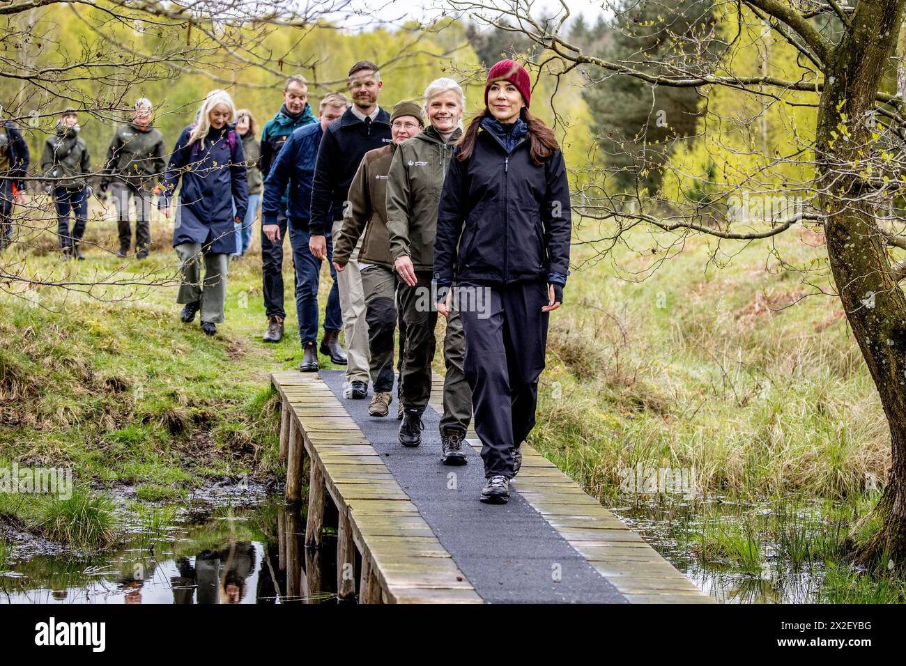 Hannenov Forest, Nykoebing Falster., Denmark. 22nd Apr, 2024. Forest ...