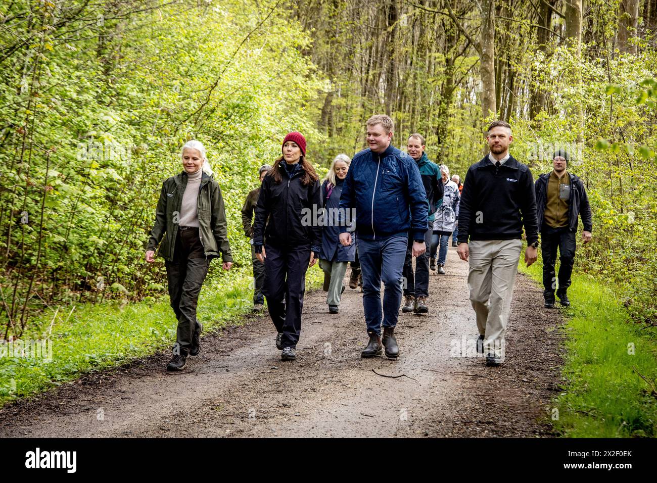 Hannenov Forest, Nykoebing Falster., Denmark. 22nd Apr, 2024. Forest ...