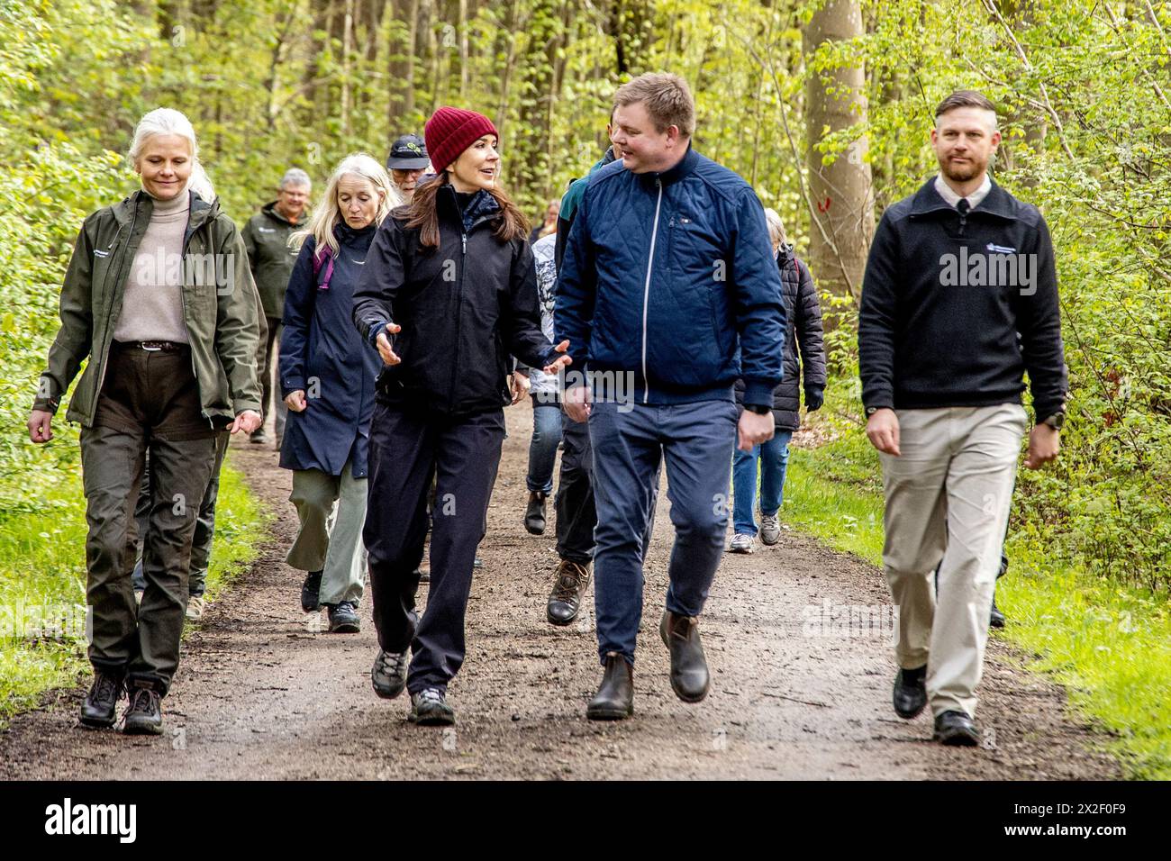 Hannenov Forest, Nykoebing Falster., Denmark. 22nd Apr, 2024. Forest ...