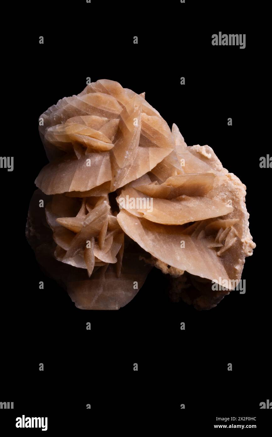 Desert rose crystal mineral specimen, stunning Stock Photo - Alamy