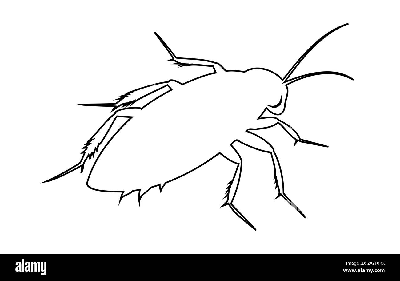 Black outline of cockroach isolated on white background. Illustration ...