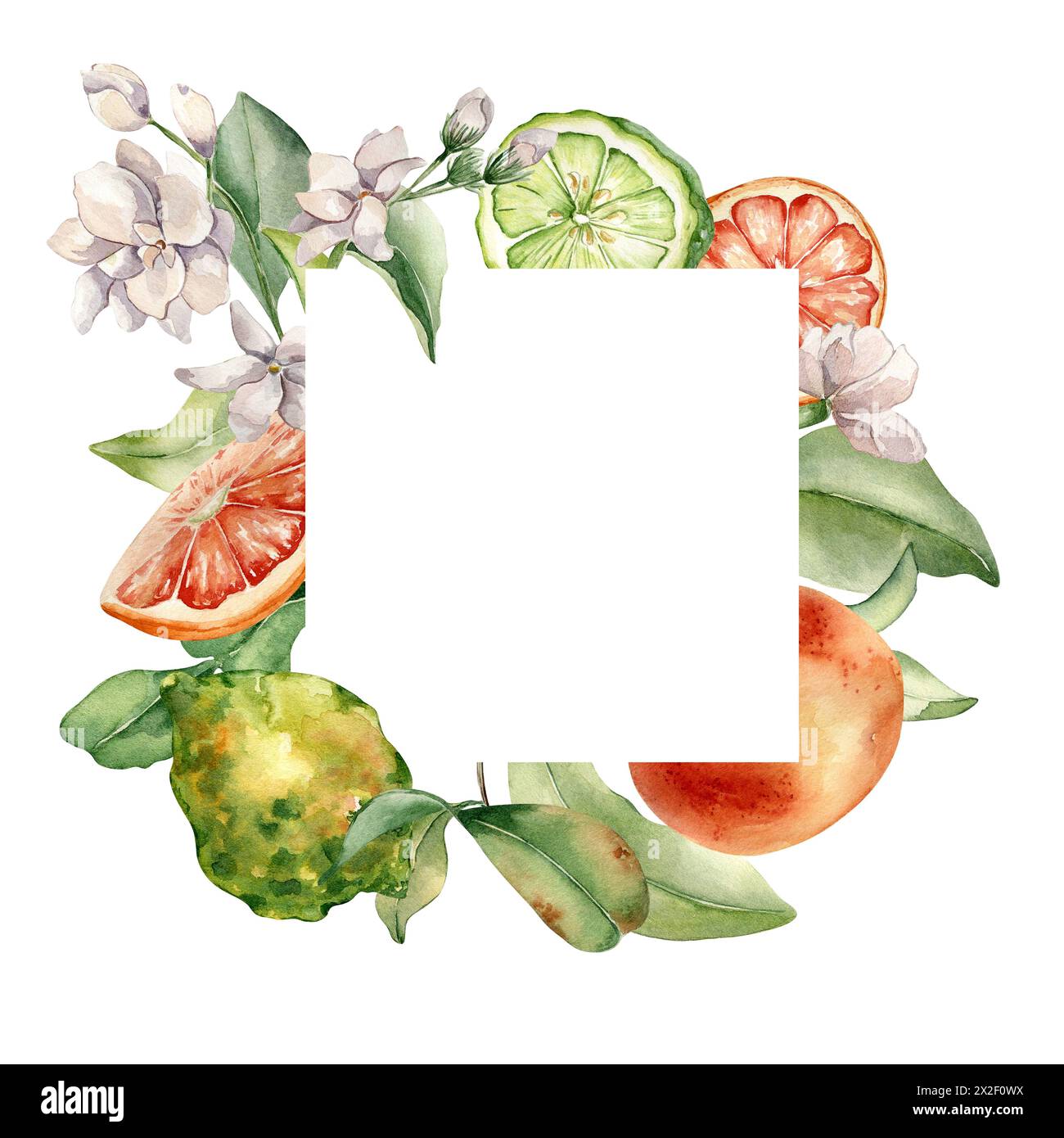 Frame with assorted green, orange fresh citrus. Fruit tree branches watercolor illustration ...