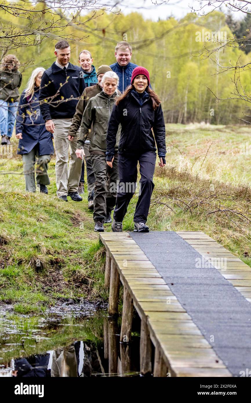 Hannenov Forest, Nykoebing Falster., Denmark. 22nd Apr, 2024. Forest ...