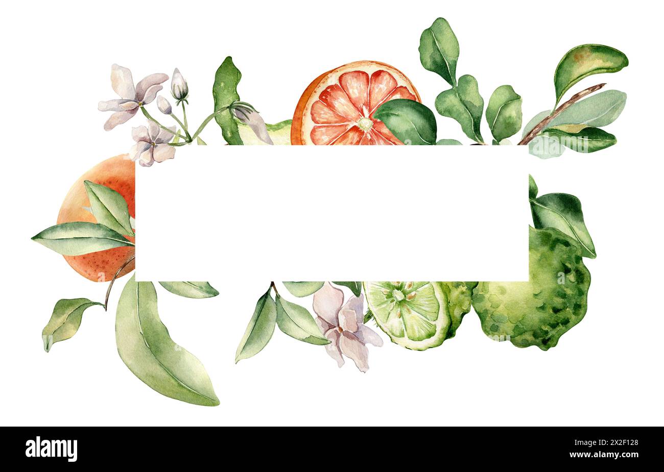 Frame with various citrus fruits and leaves watercolor illustration isolated. Bergamot on branch ...