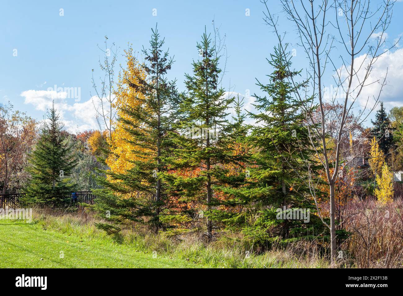 Season public hi-res stock photography and images - Alamy
