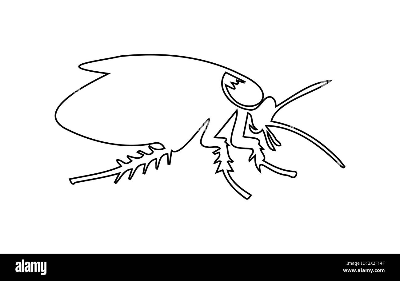 Black outline of cockroach on white background Illustration. Icon, sign ...