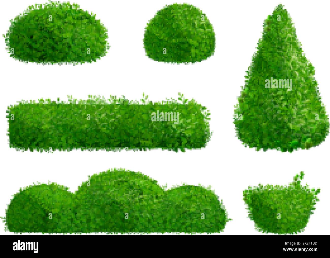 Boxwood hedges Stock Vector Images - Alamy