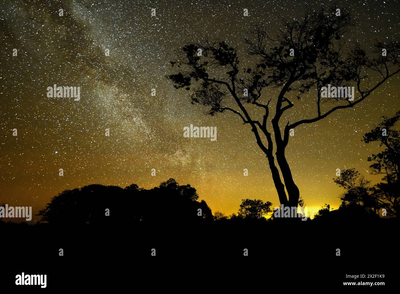 geography / travel, Argentina, starry sky, Cambyretá, Esteros del Iberá ...