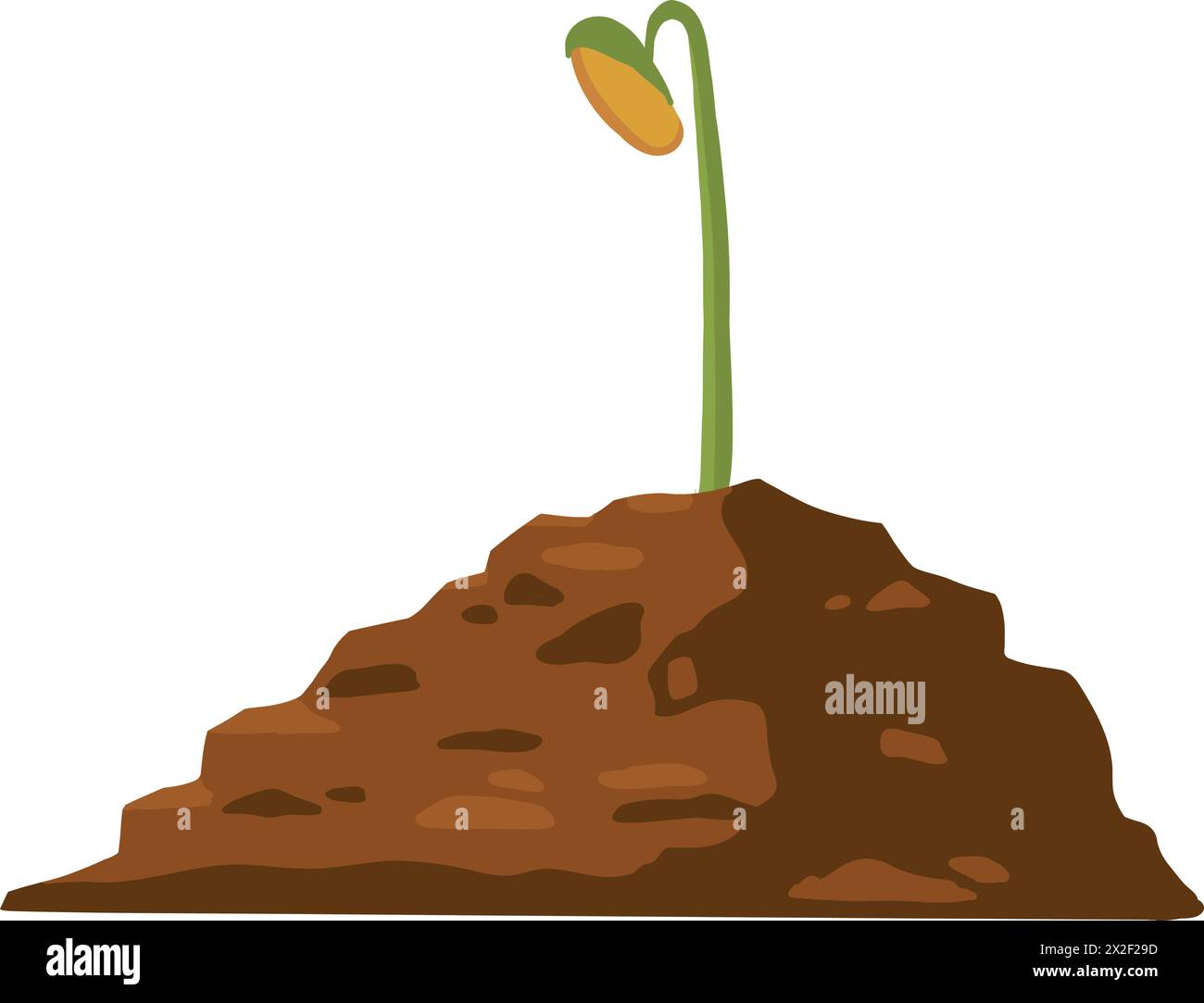 Tree grow. Plant growth from seed to sapling with green leaf. Stages of seedling and growing ...