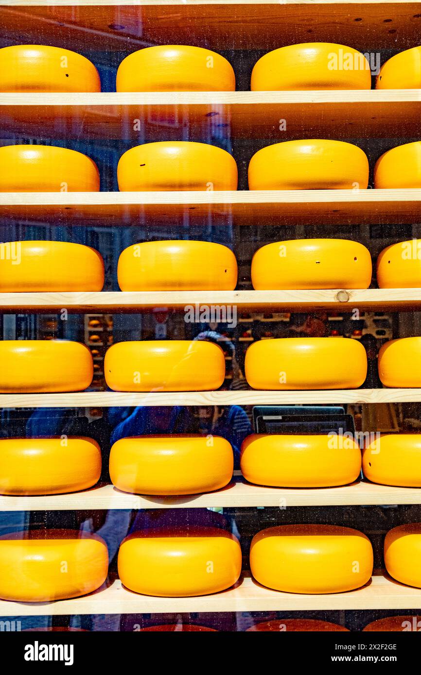Cheddar cheese wheel hi-res stock photography and images - Alamy