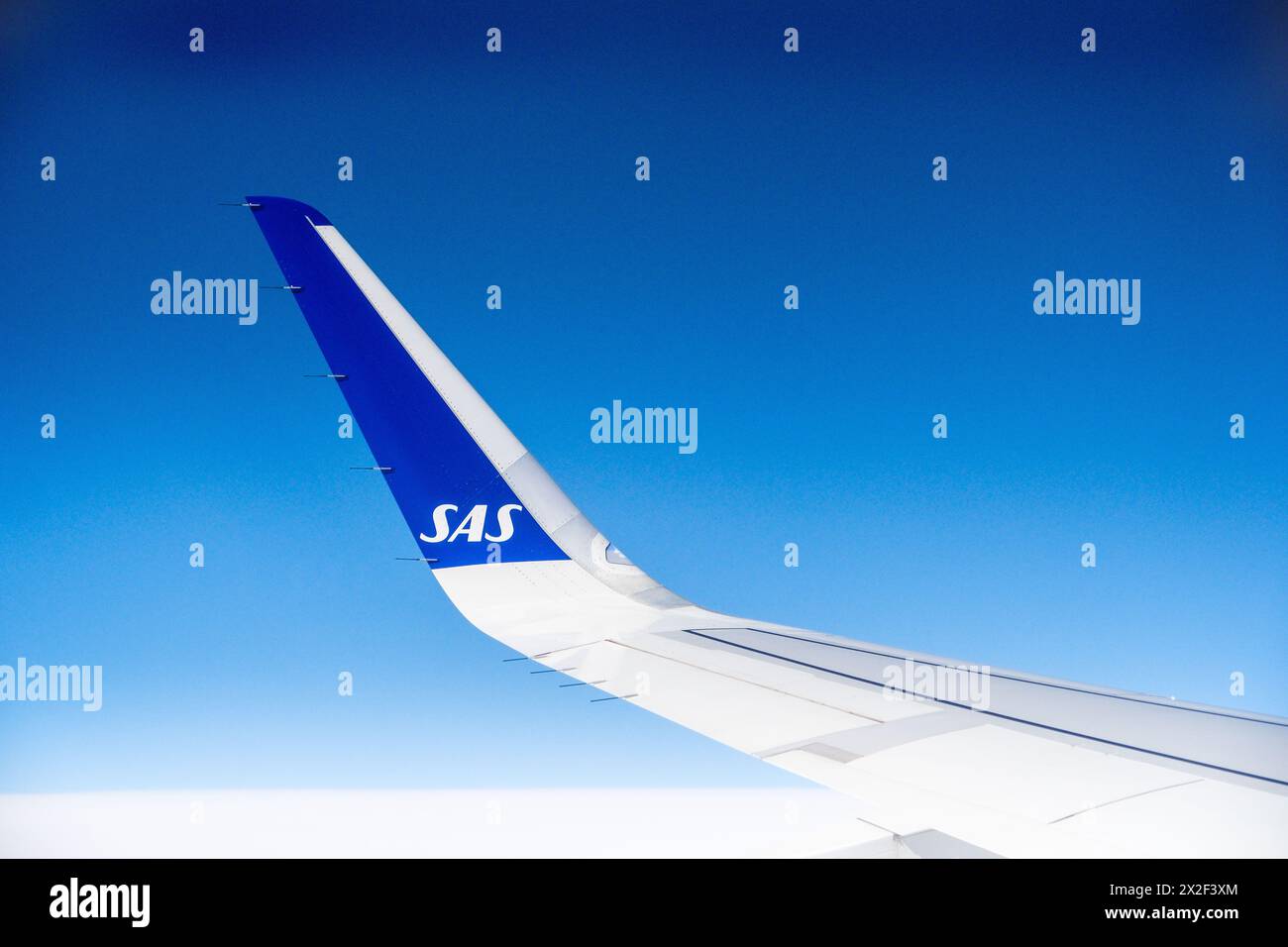 the wingtip of an SAS airplane against a blue sky Stock Photo - Alamy