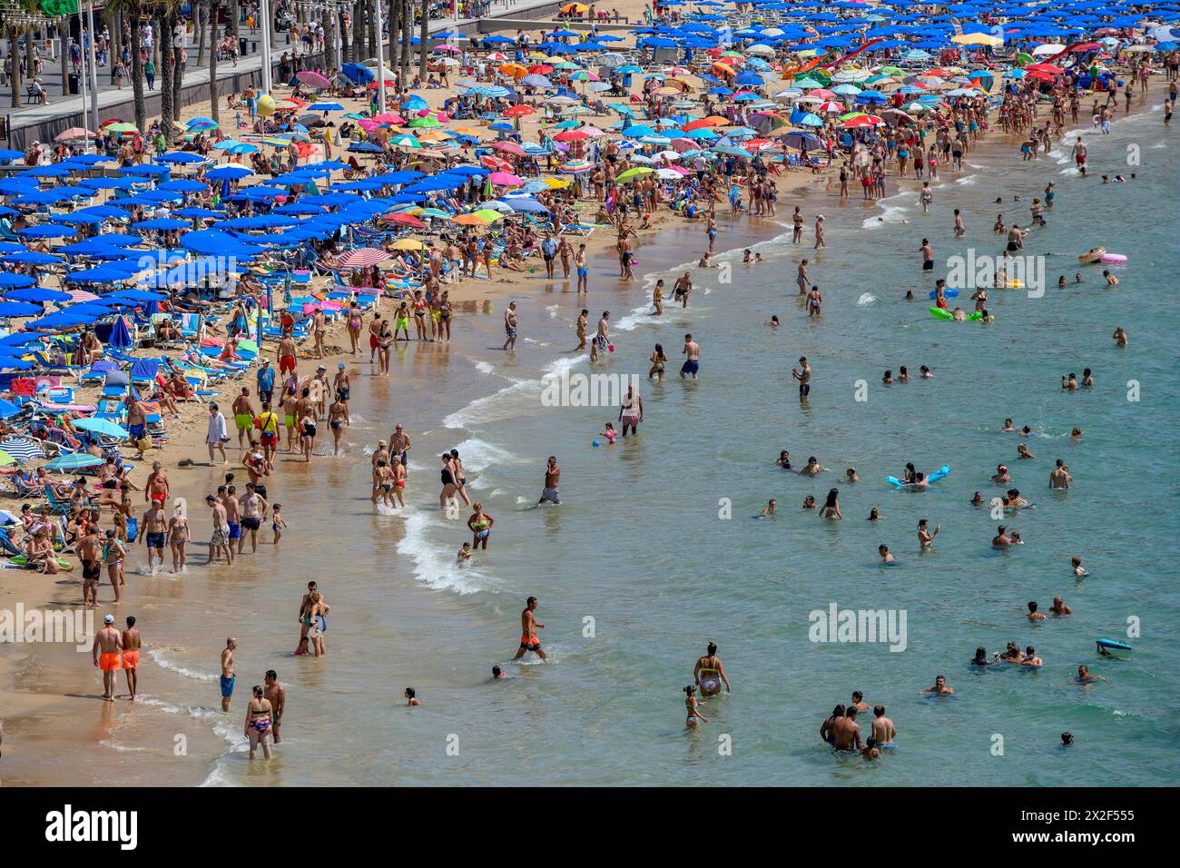 geography / travel, Spain, Valencia, Alicante, tourists at the playa ...