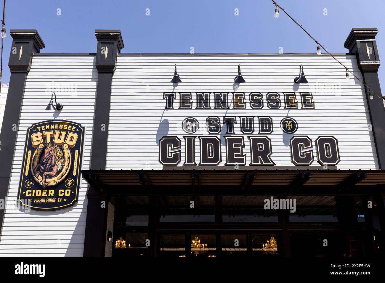 Tennessee Stud Cider is a distillery owned by Yee-Haw Brewing ...
