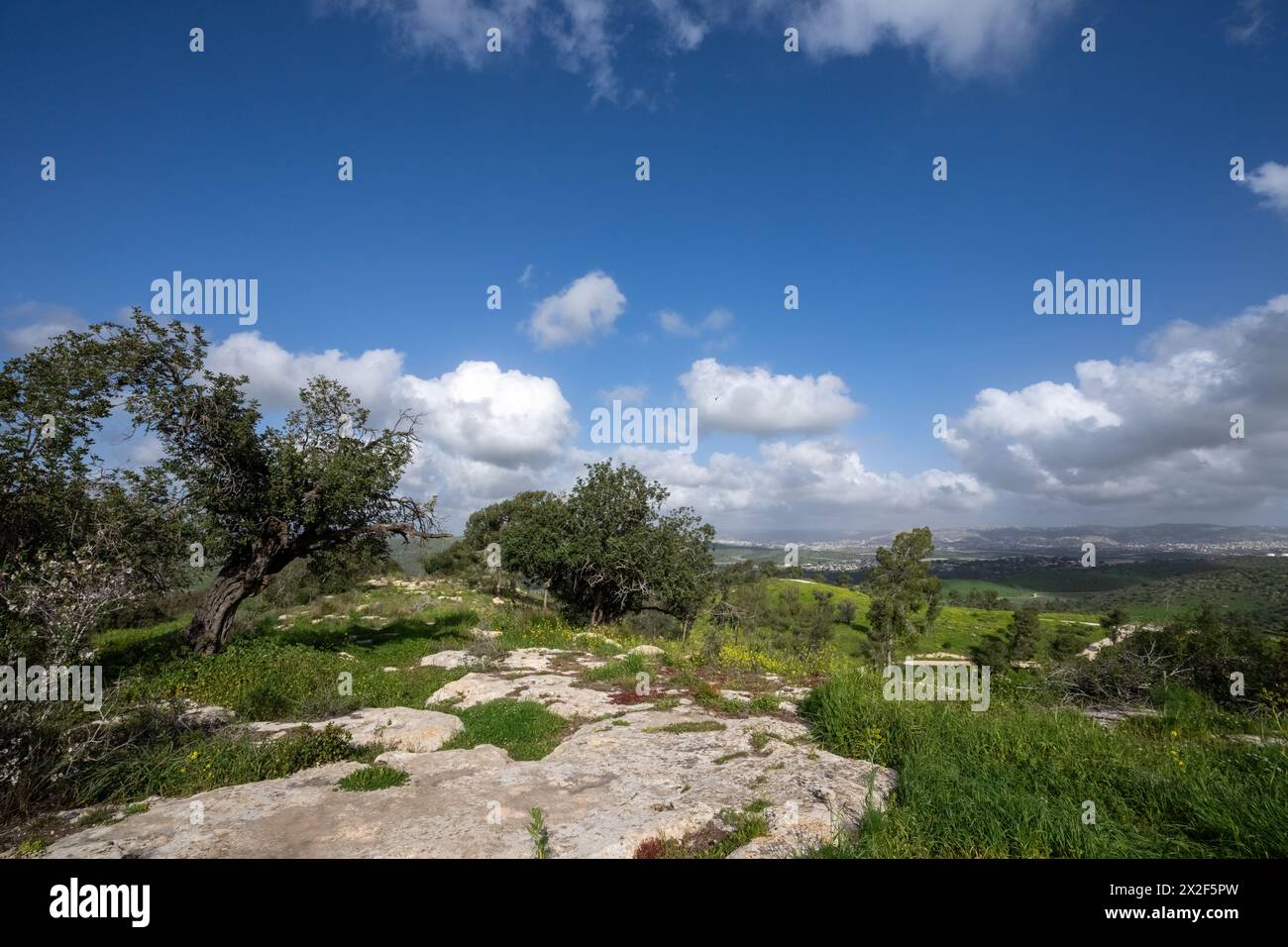 Judean foothills, Israel landscape Stock Photo - Alamy