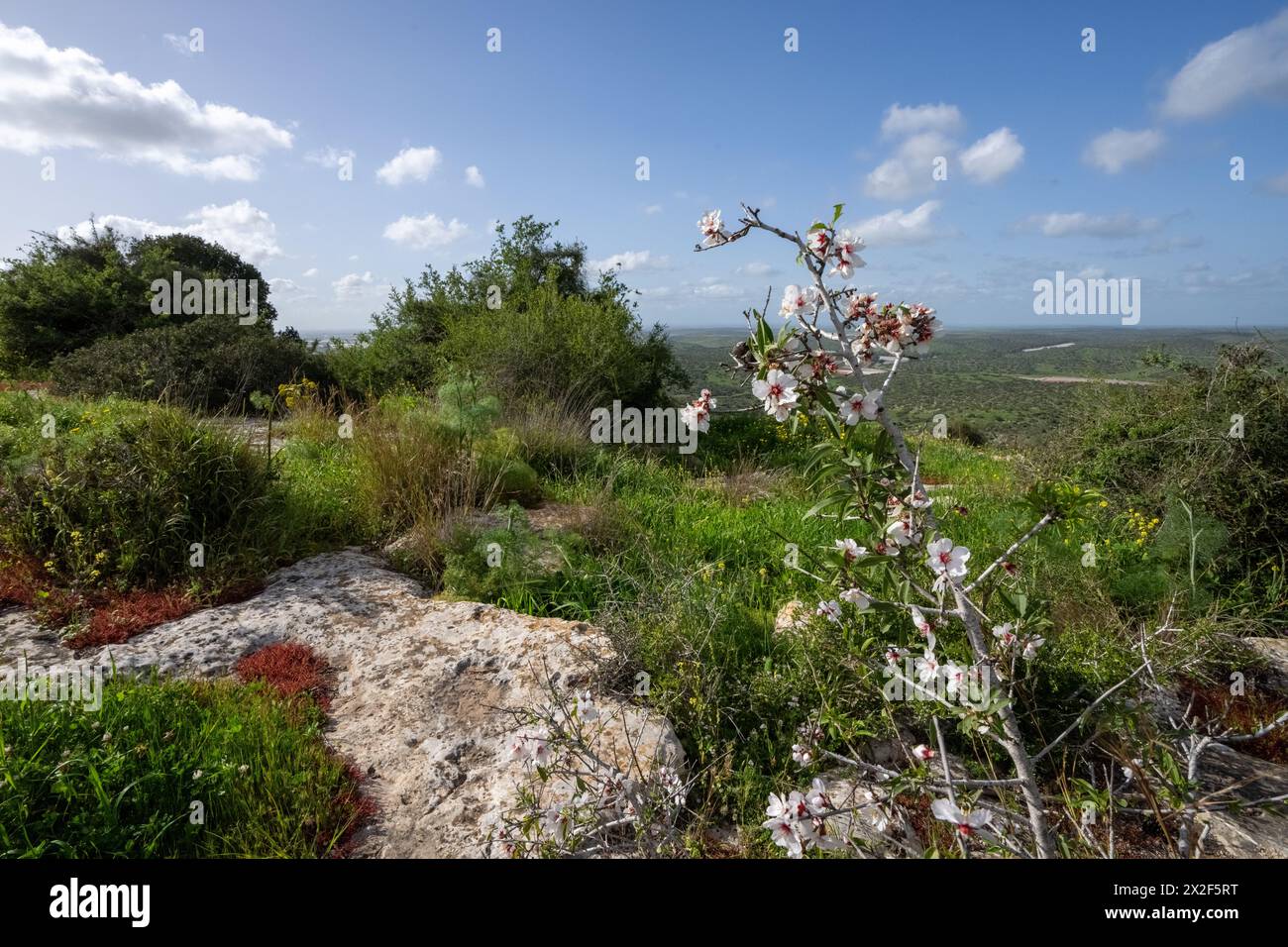 Strategic landscape hi-res stock photography and images - Alamy