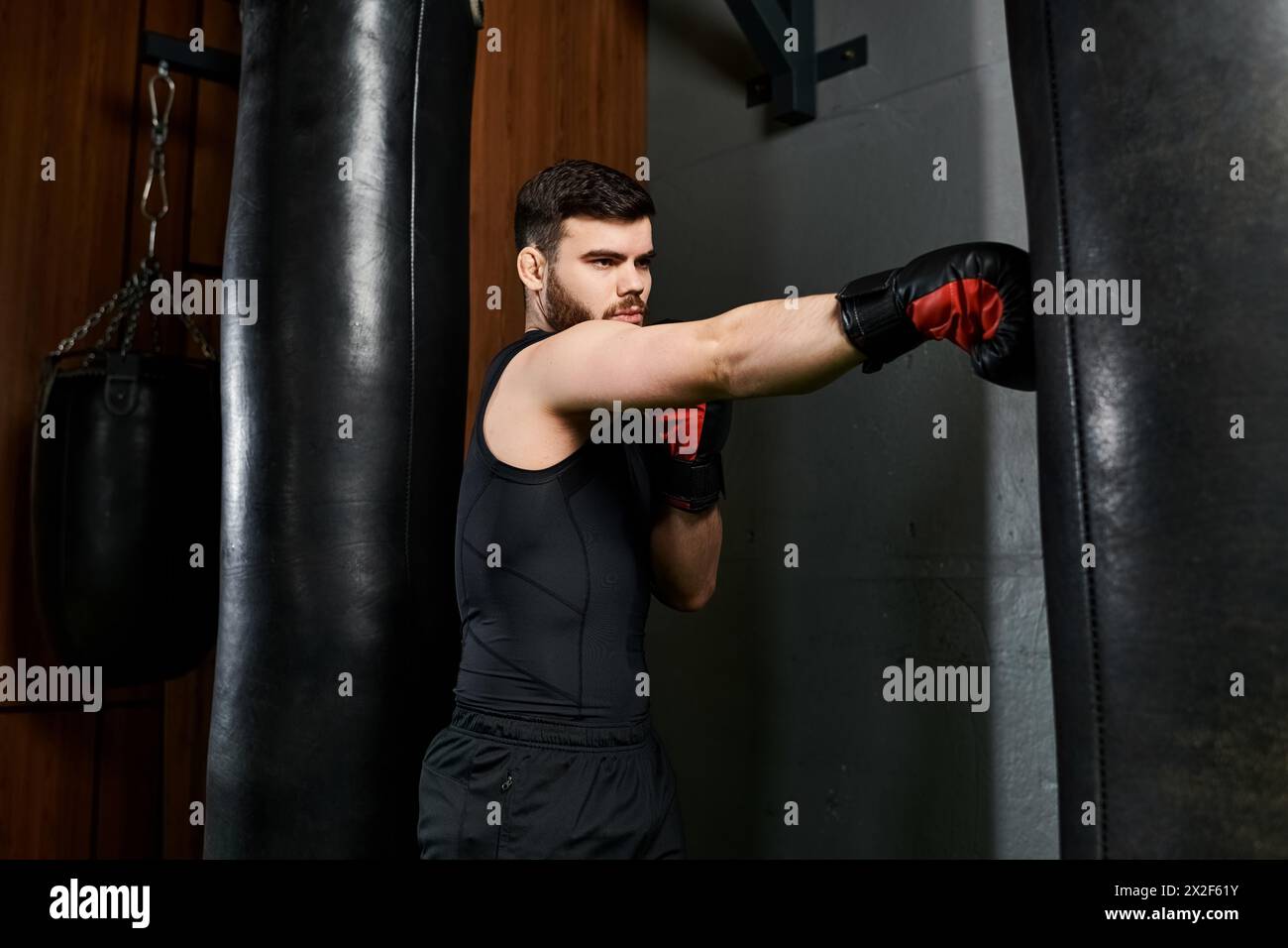 Handsome boxer punches heavy bag hi-res stock photography and images ...