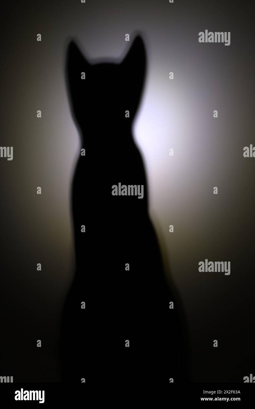 Artistic silhouette of an Egyptian cat figurine surrounded by a ...
