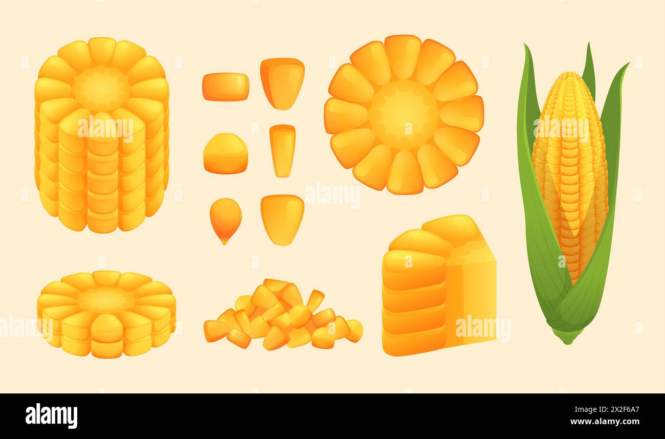 Corn. Natural healthy harvest products vegetables pieces sliced corns ...
